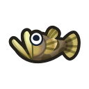 Gobio de río - Información sobre el pez