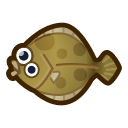Olive flounder - Fish information